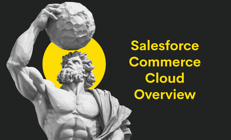Salesforce Commerce Cloud 101 | MagicFuse